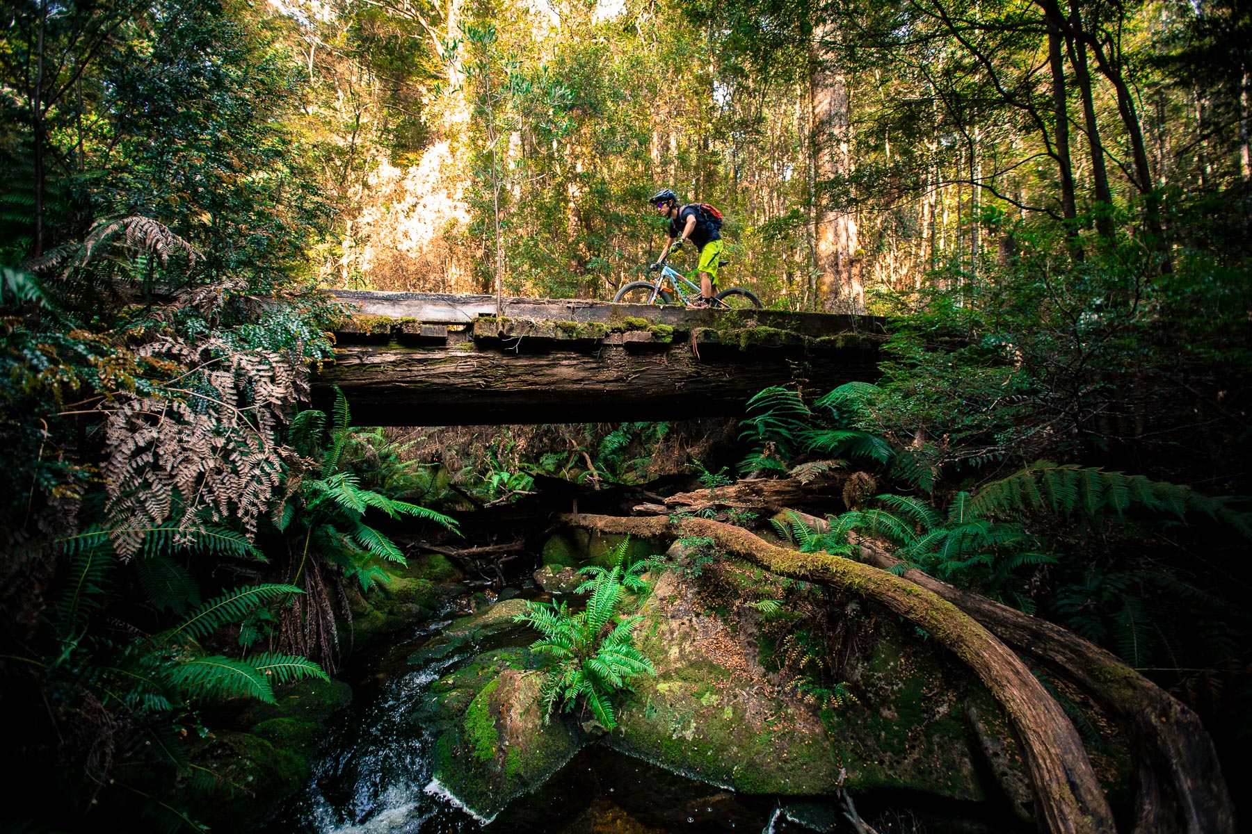How To Ride Derby | Flow's favourites routes in Blue Derby