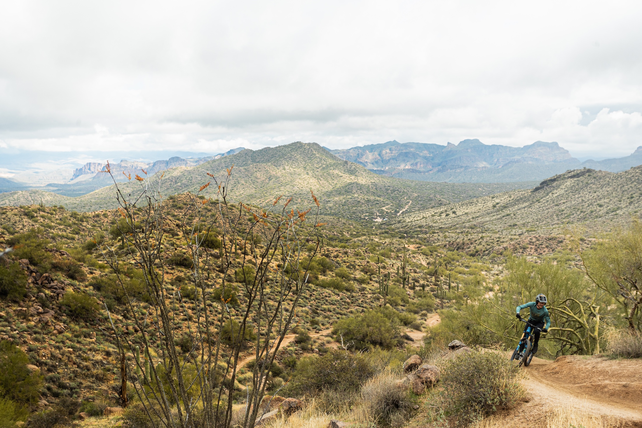 2024 Pivot Switchblade Review | Pivot's best trail bike yet?
