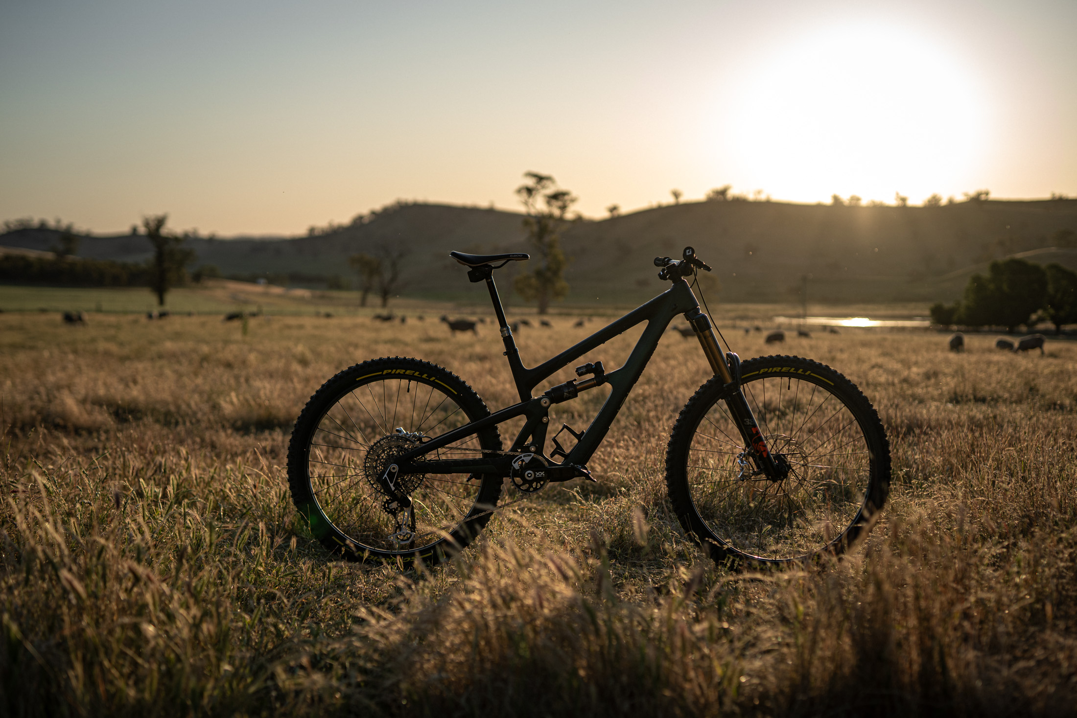 Ibis HD6 | Mick's Indomitable Custom Build, An Ongoing Odyssey