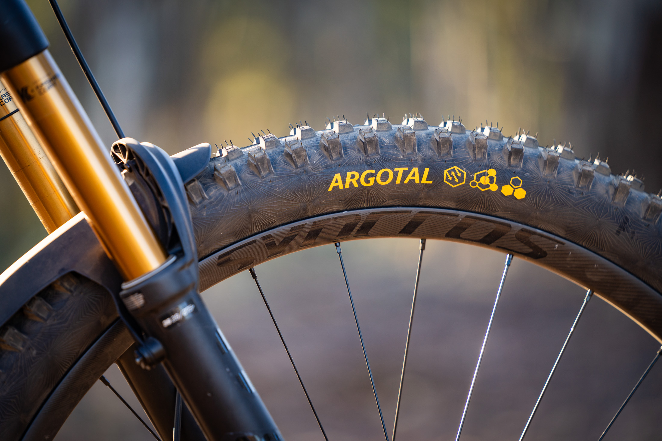 Fresh Produce | Continental Argotal & Kryptotal Enduro 29x2.6in Tyres ...