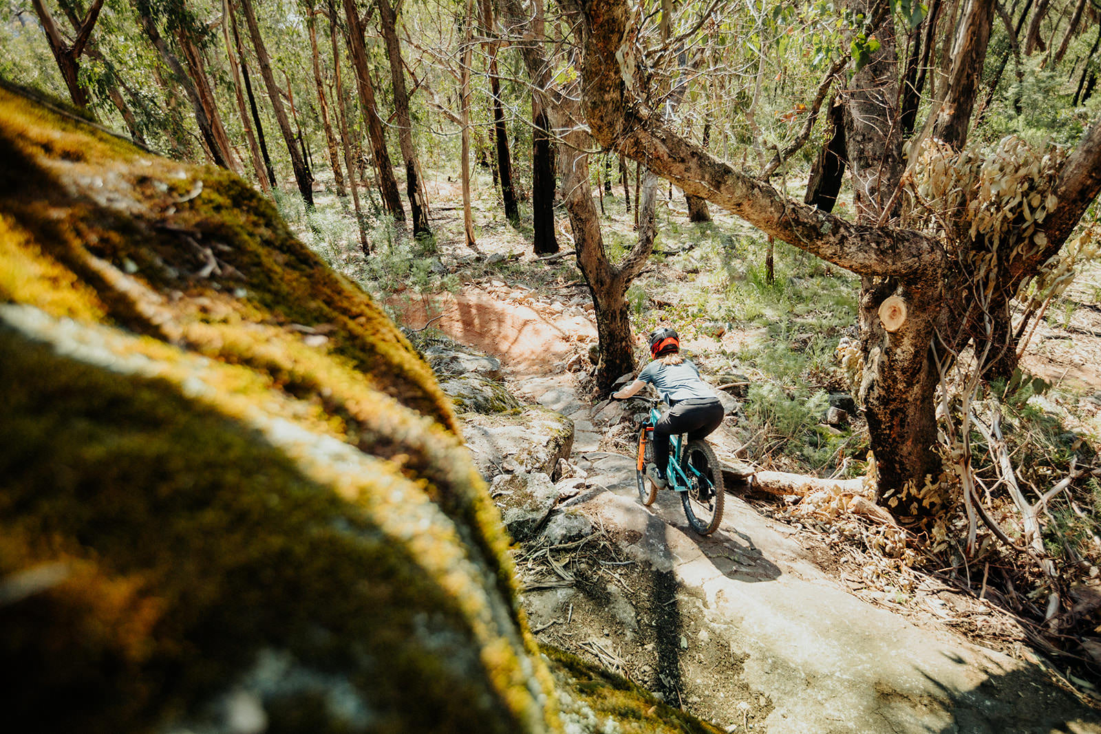 Rumble in Tumbarumba | Granite strewn trail network on the edge of the ...