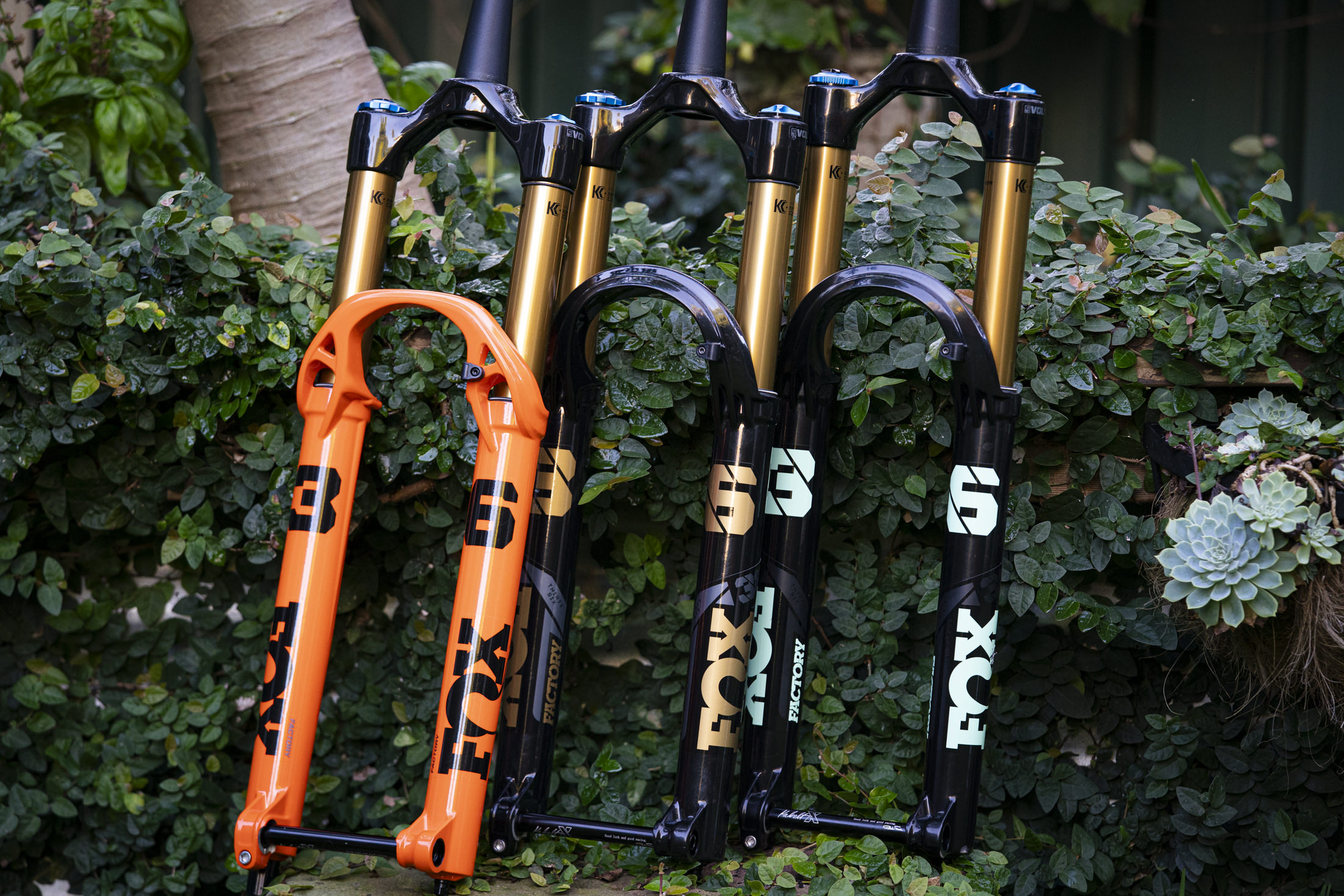 2026 Fox 36 Review | Fox introduces the brand new 36 & 36 SL