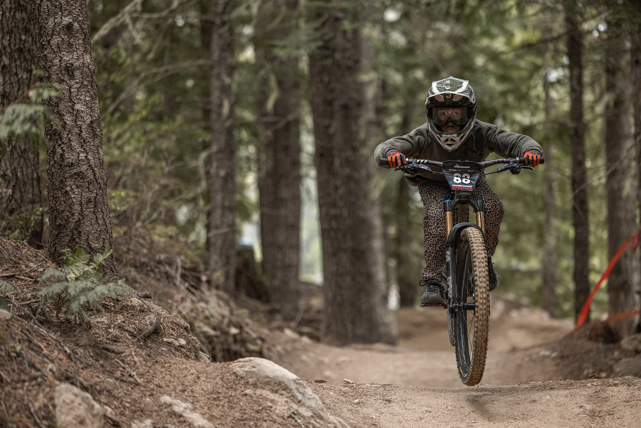 Whistler's Best MTB Trails