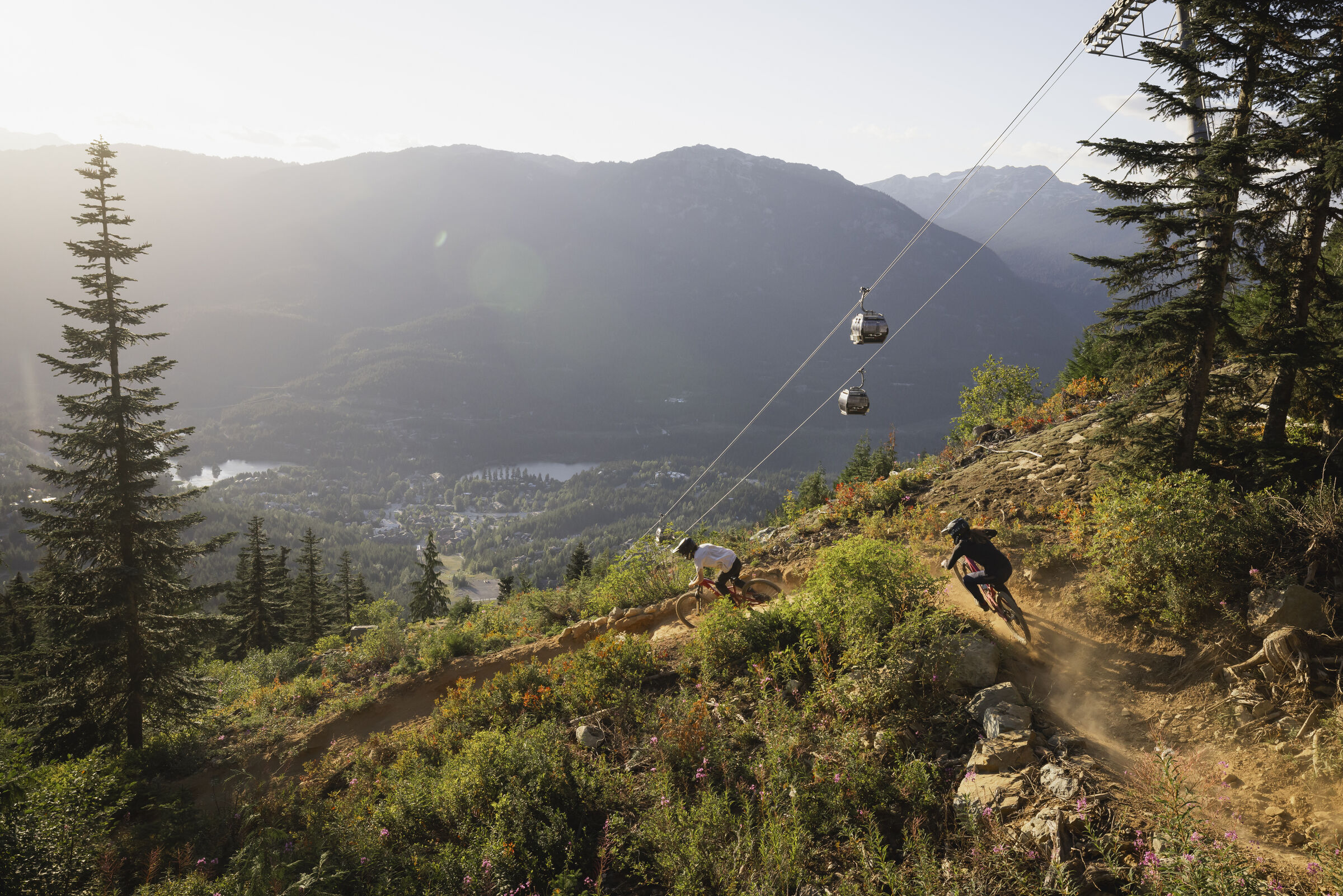Whistler's Best MTB Trails