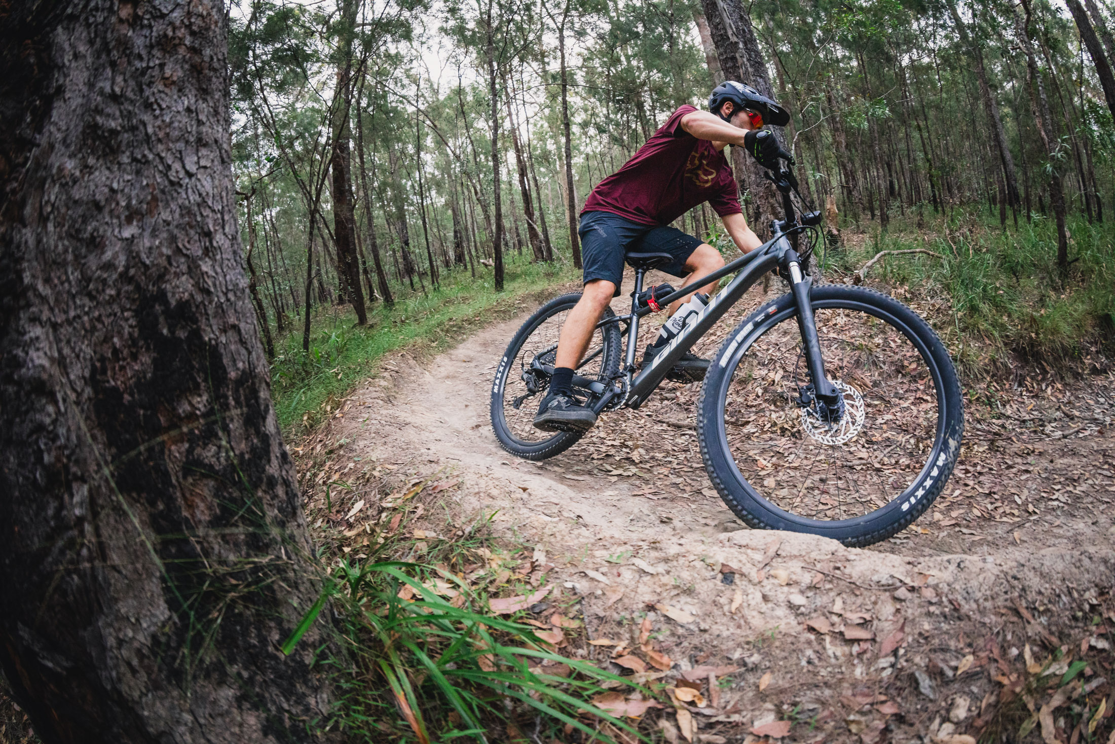 2025 Giant Talon 1 Review | A Gateway to the Good Stuff