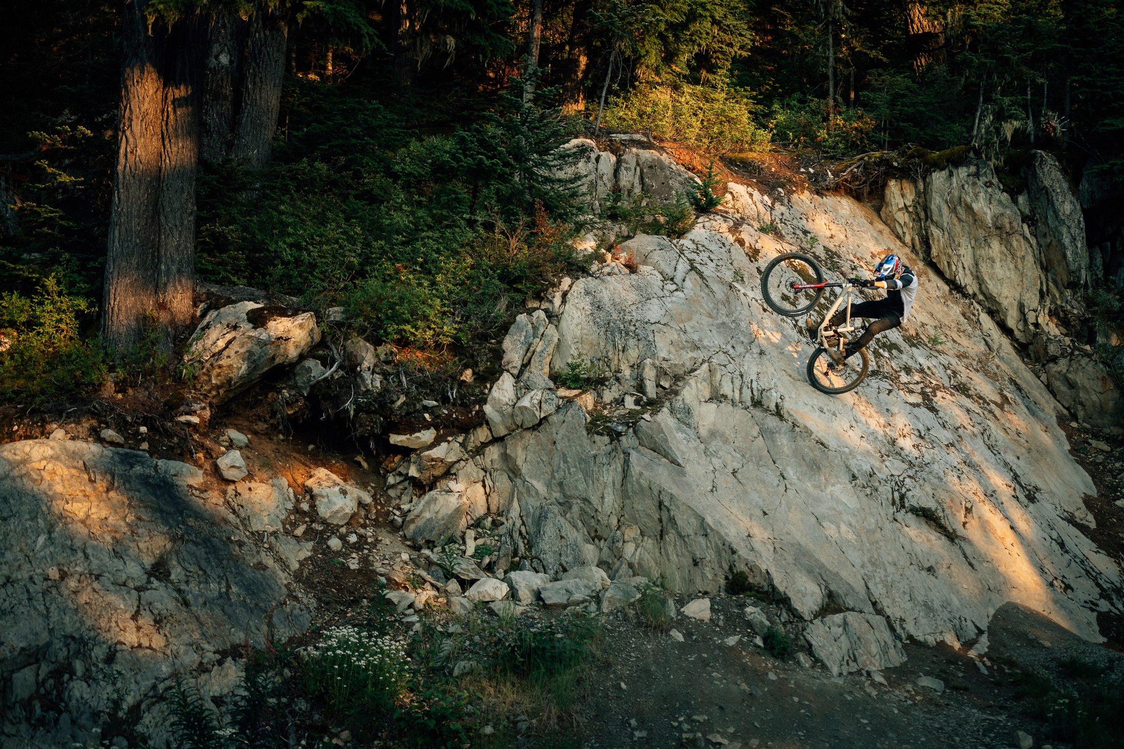 Whistler's Best MTB Trails