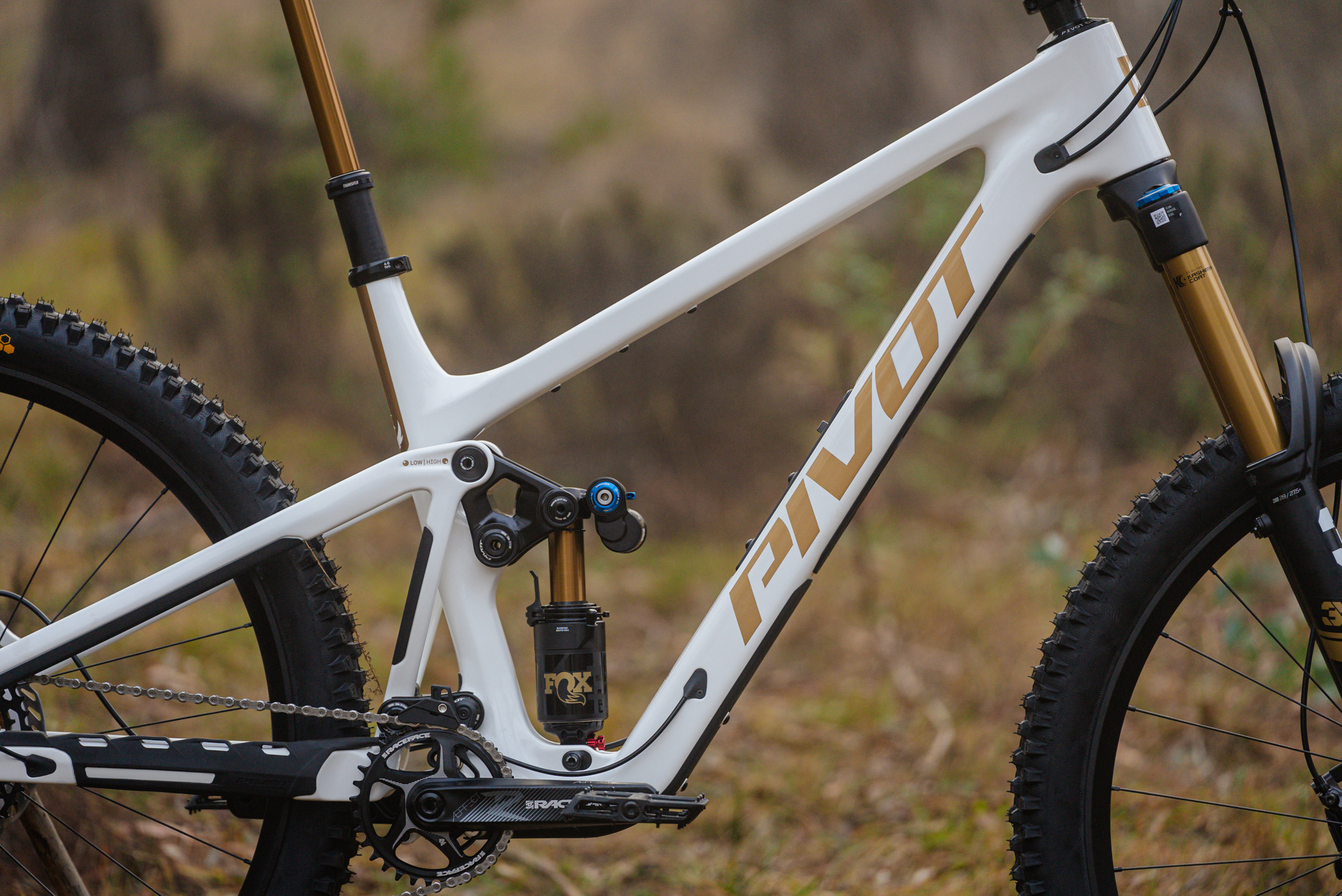 First Look | The sixth generation Pivot Firebird adds more ...