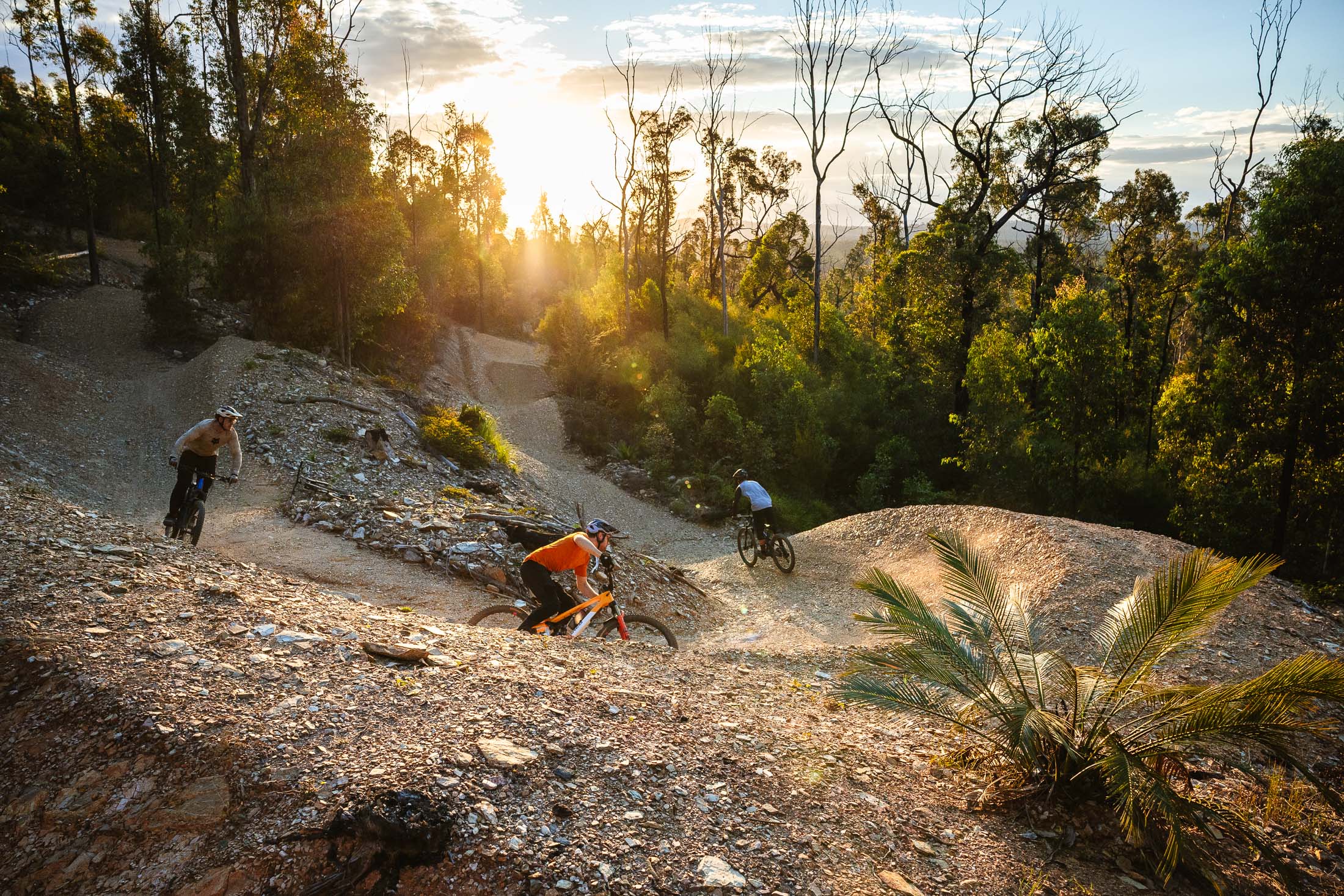 Complete Guide to Mogo Mountain Bike Trails, NSW