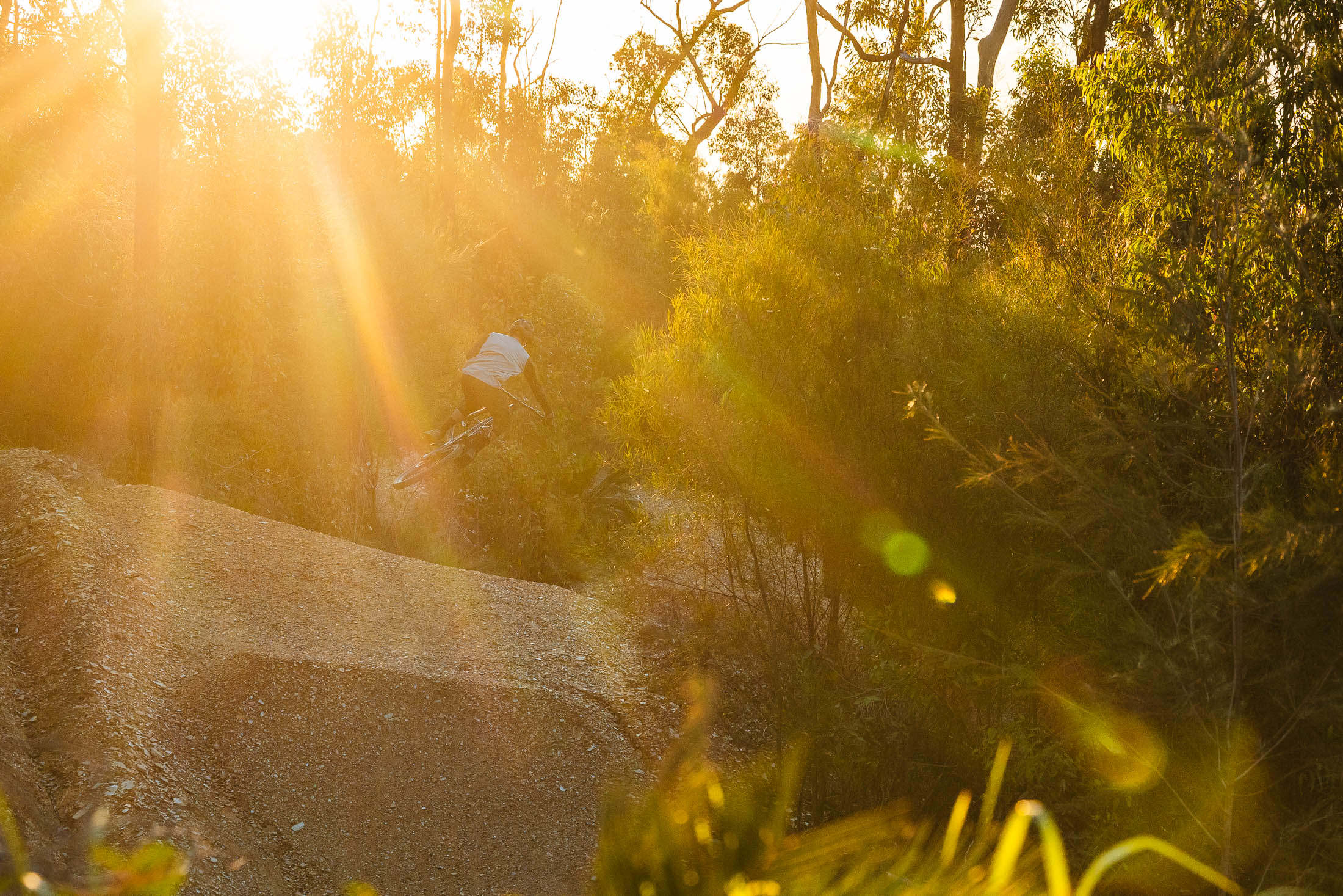 Complete Guide to Mogo Mountain Bike Trails, NSW