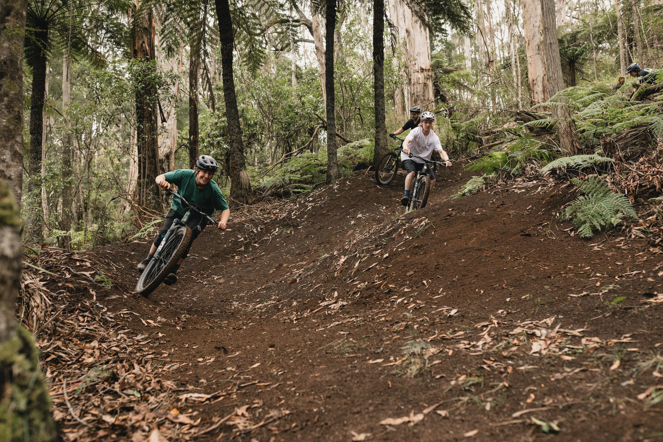 Warburton Bike Park soft opening this July and receives $3 million in ...