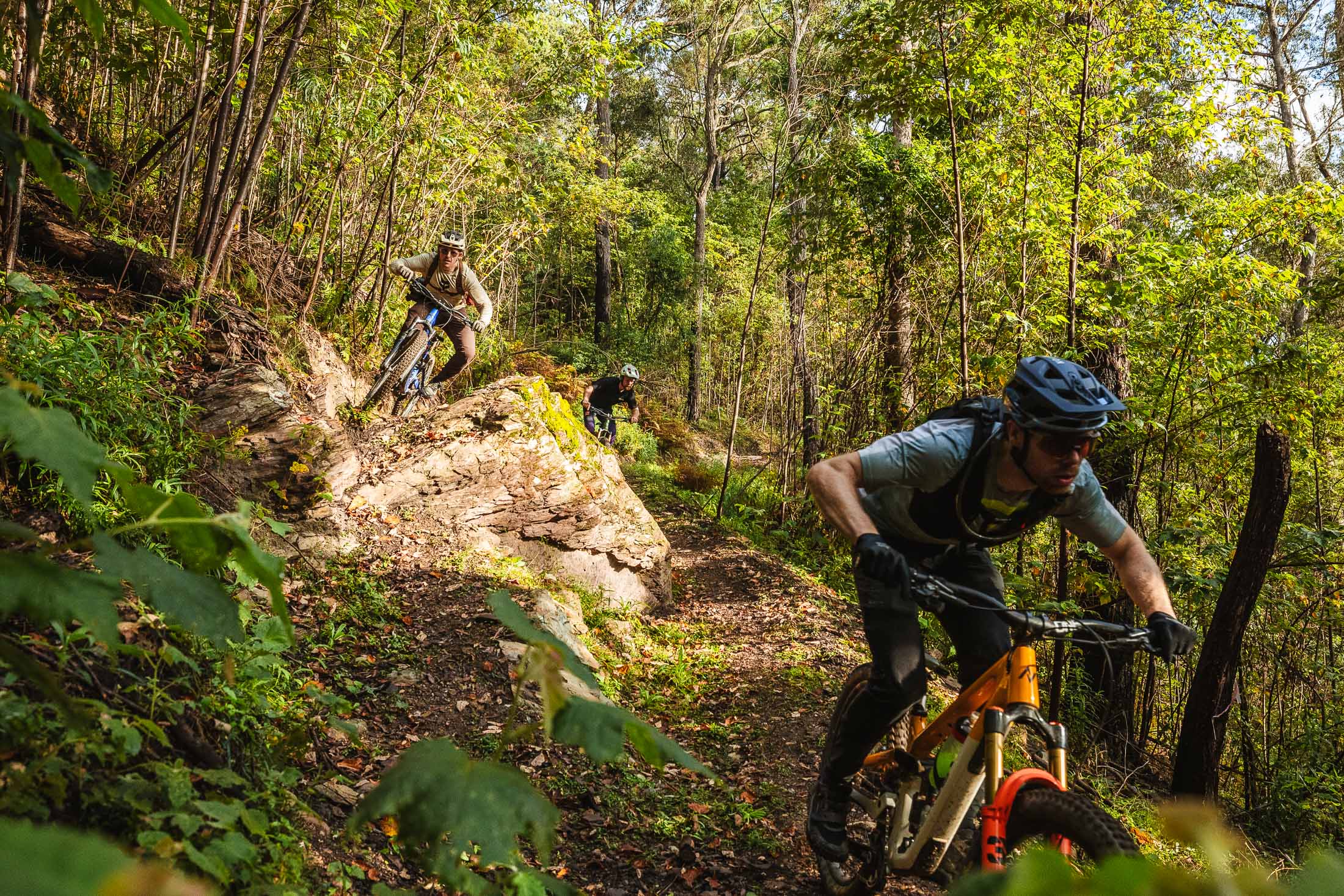 Complete Guide to Mogo Mountain Bike Trails, NSW