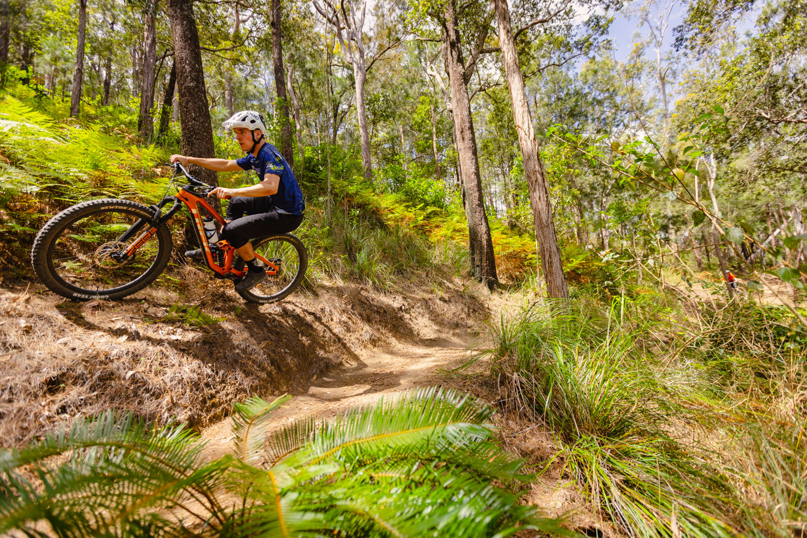 Best Mountain Bike Trails in Queensland