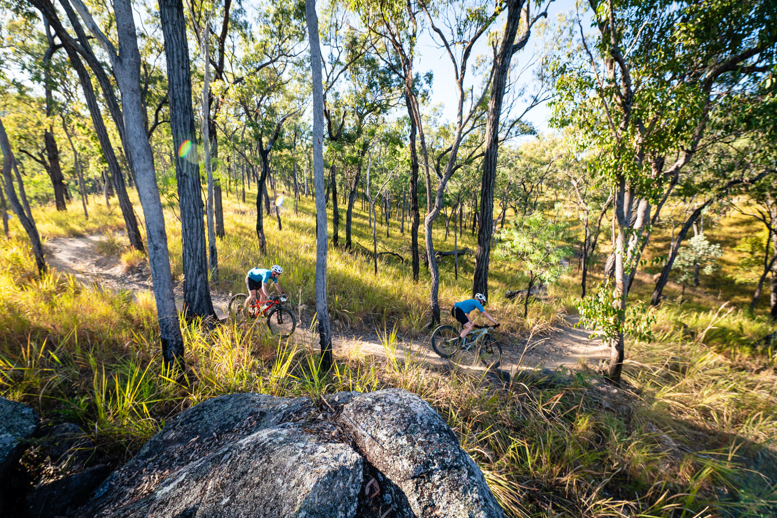 Best Mountain Bike Trails in Queensland