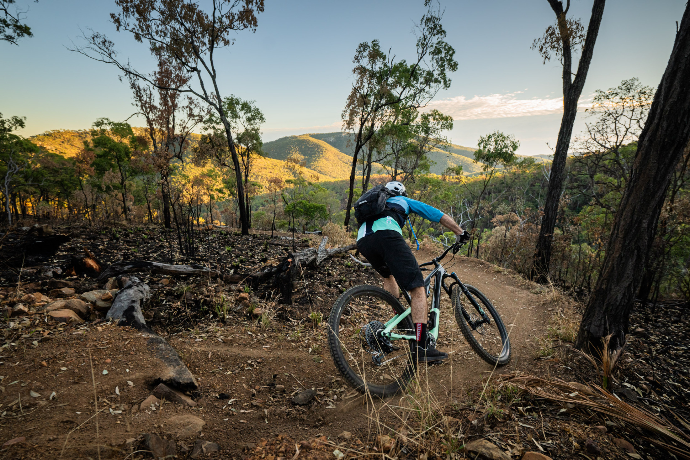 Best Mountain Bike Trails in Queensland