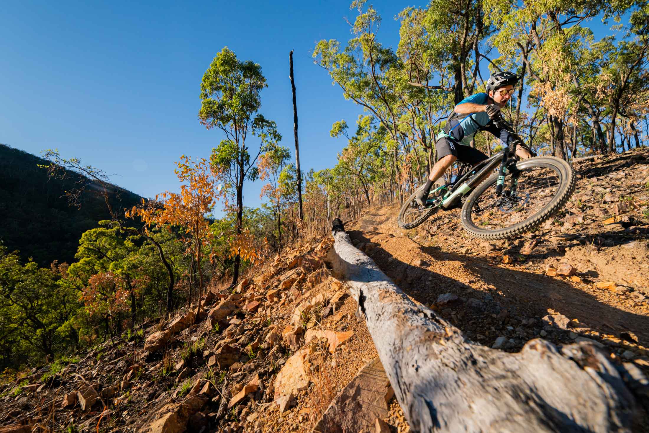 Best Mountain Bike Trails in Queensland