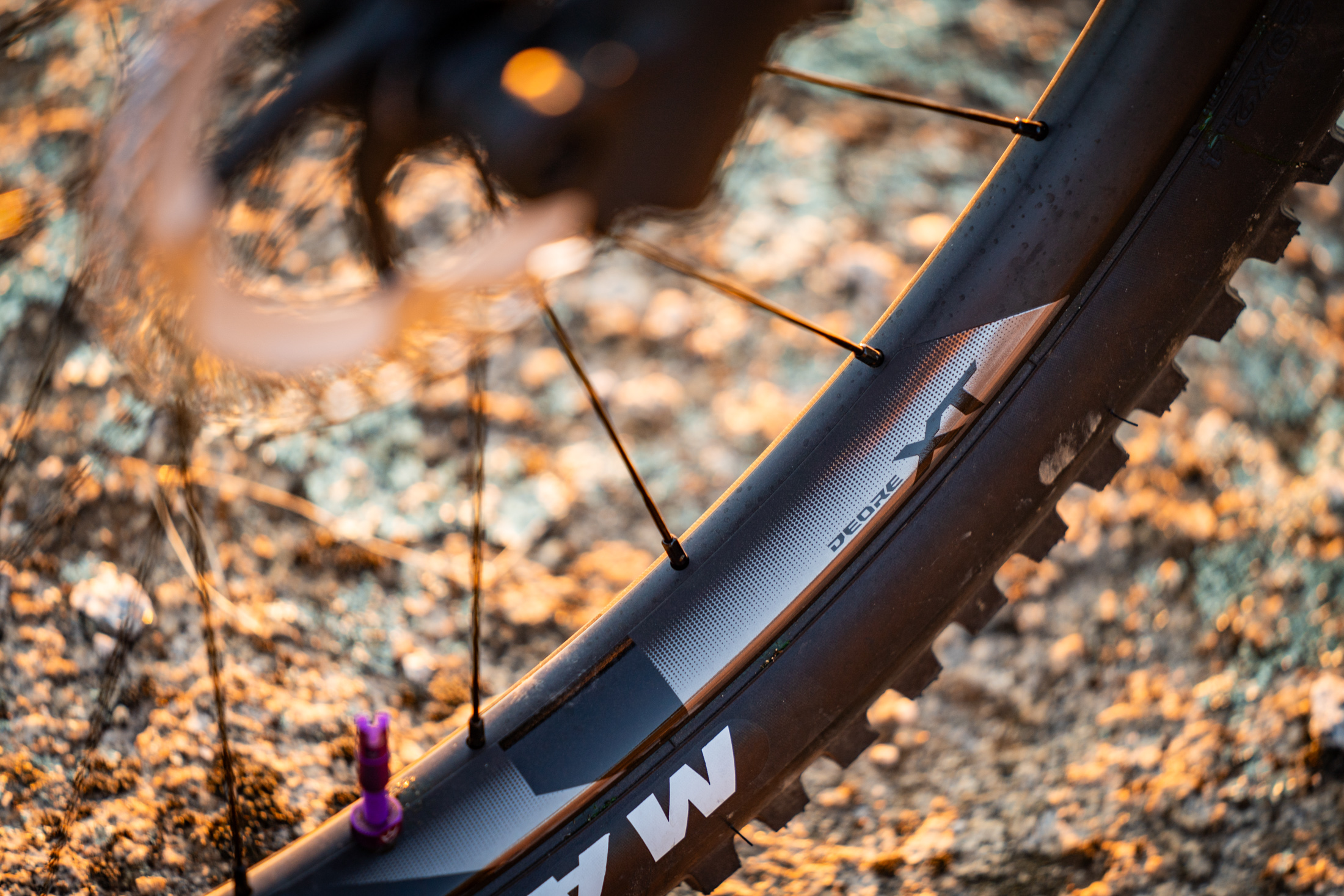 Shimano XT M8200 Wheelset Review | XTR tech at half the price