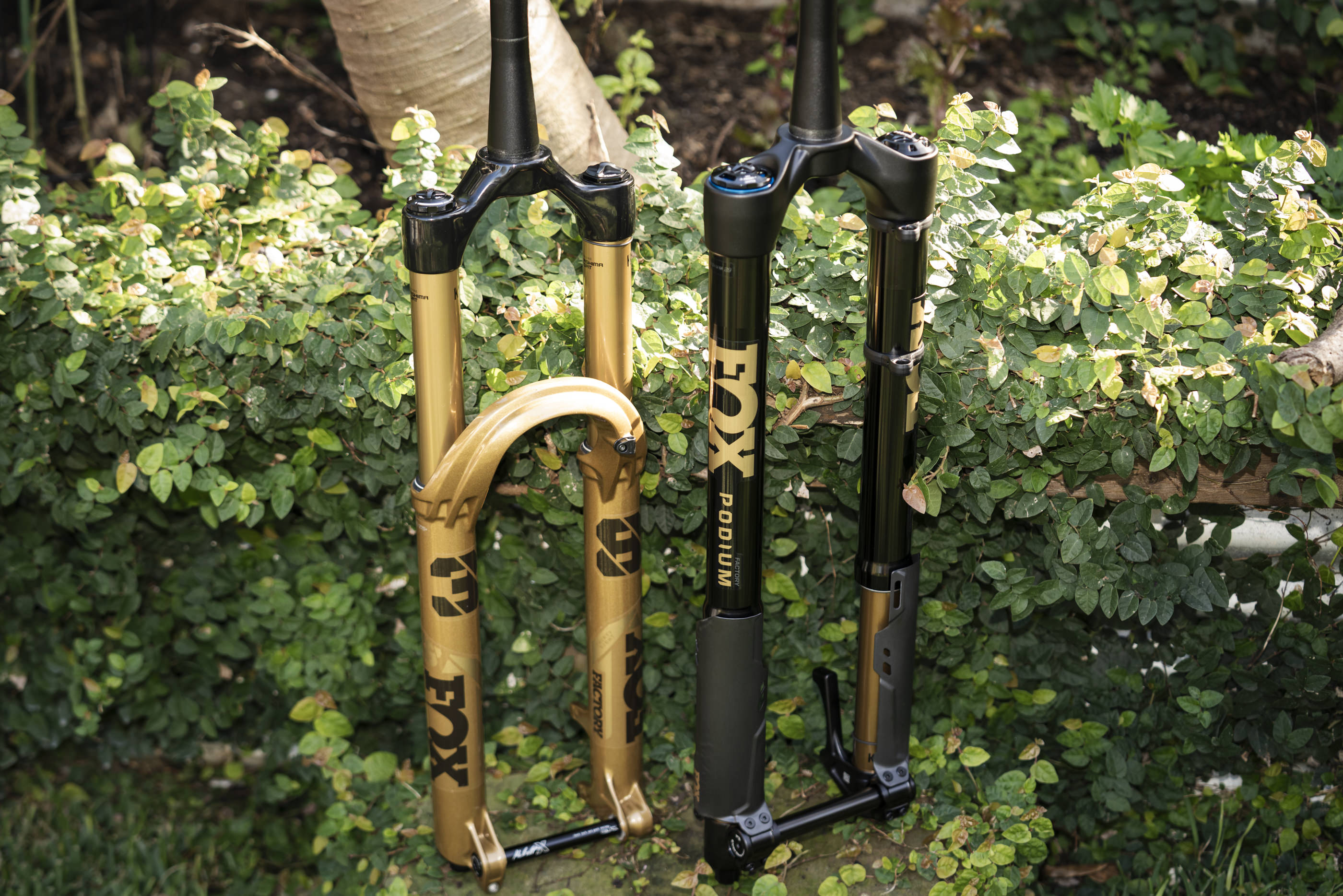 First Ride Review | 2026 Fox Podium inverted fork