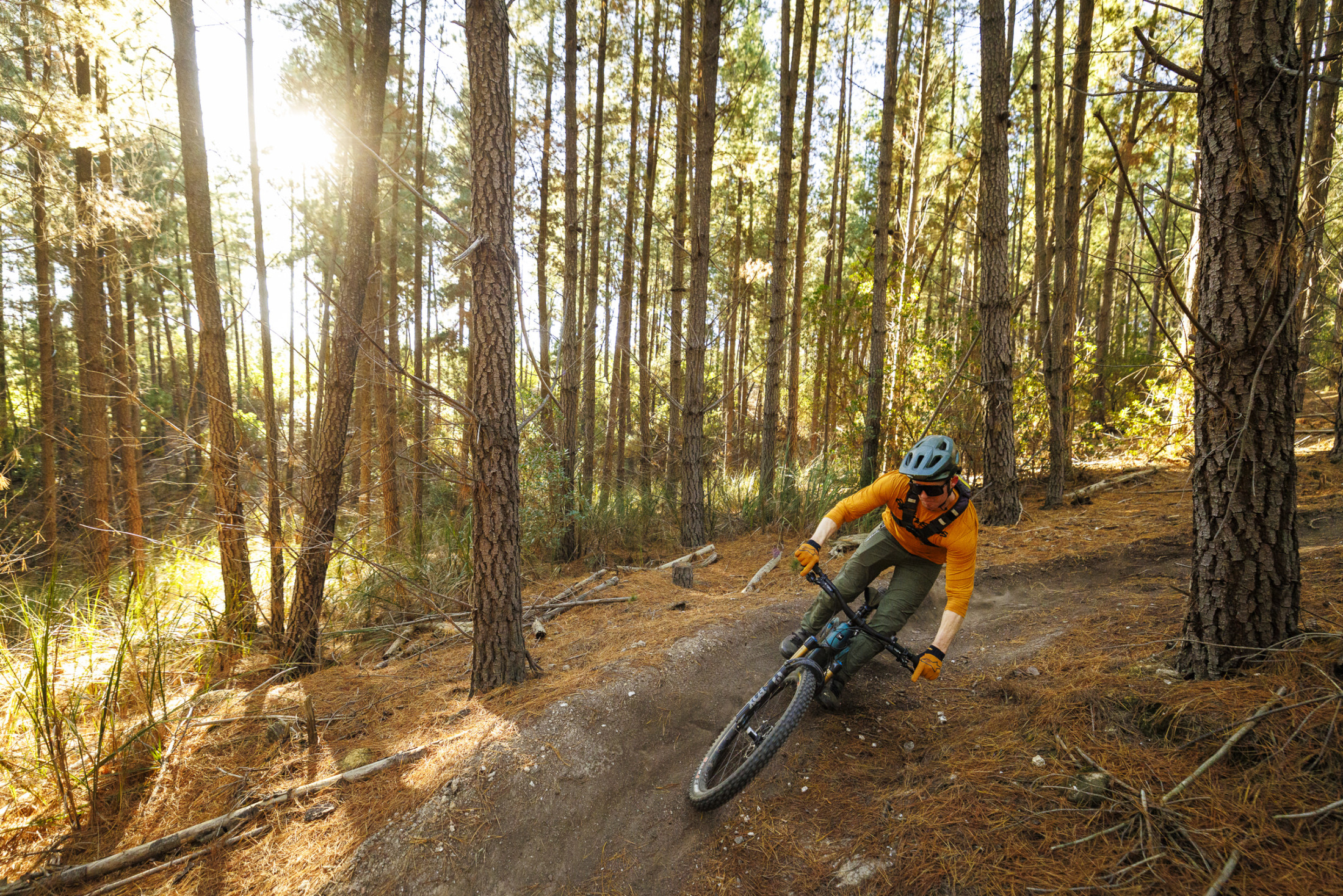 Santa Cruz Bullit Review | This big, beautiful brawler is locked ...