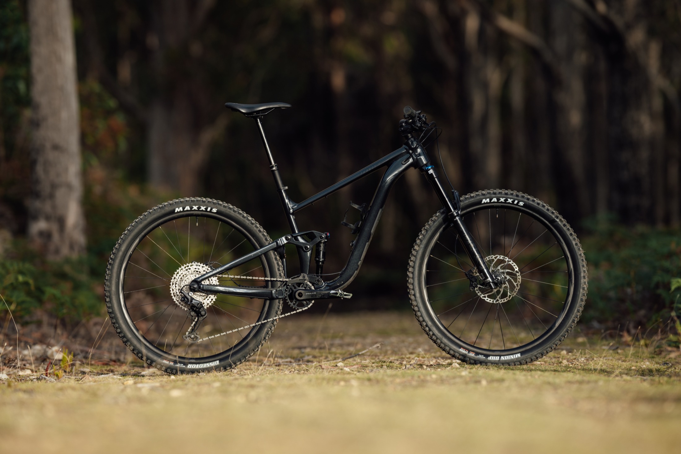 Giant Trance X 2 Alloy Review | A trail bike through and through, but ...