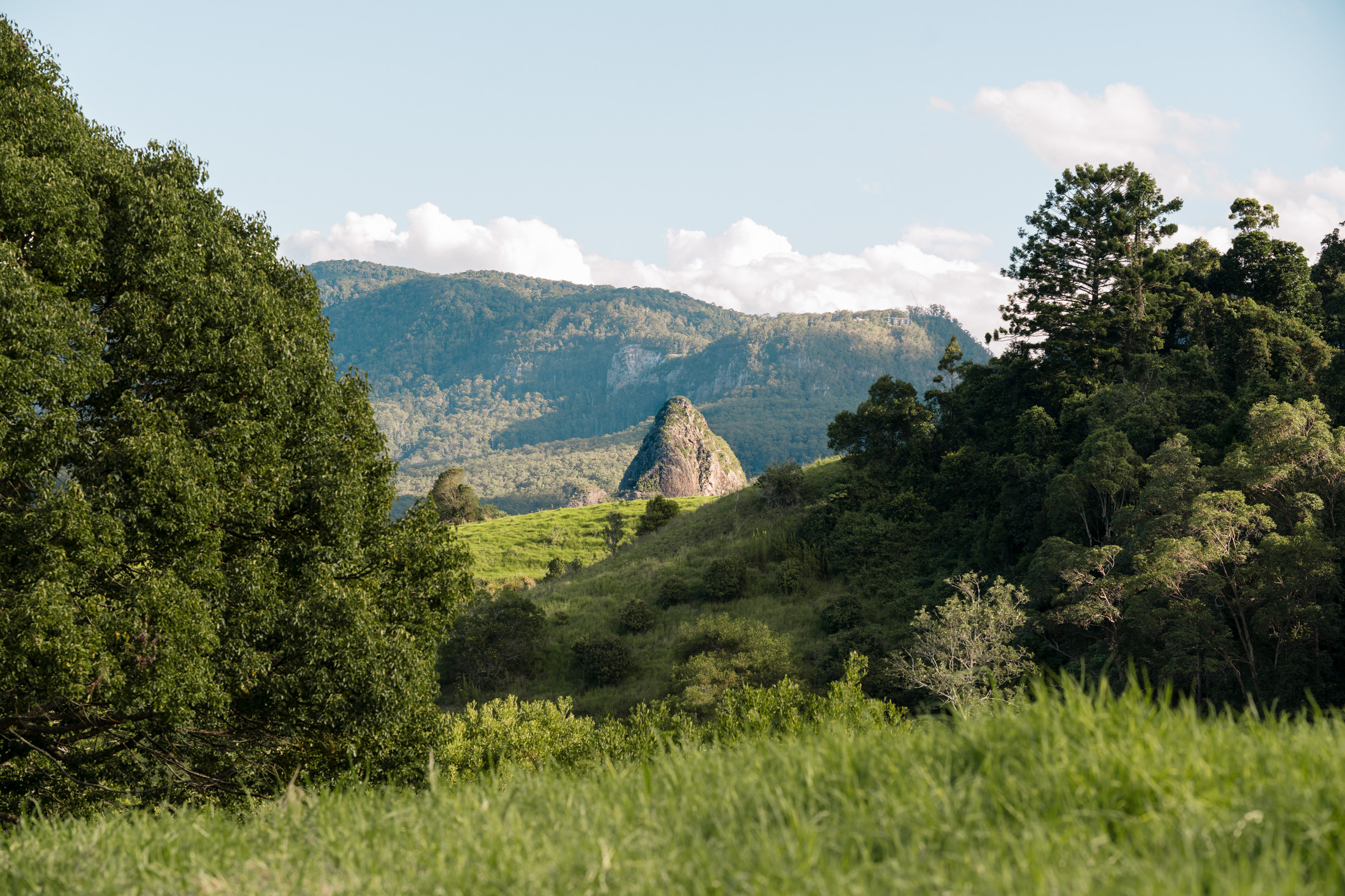 Rising from the flood | Rebuilding the Gold Coast's NV Gravity Park