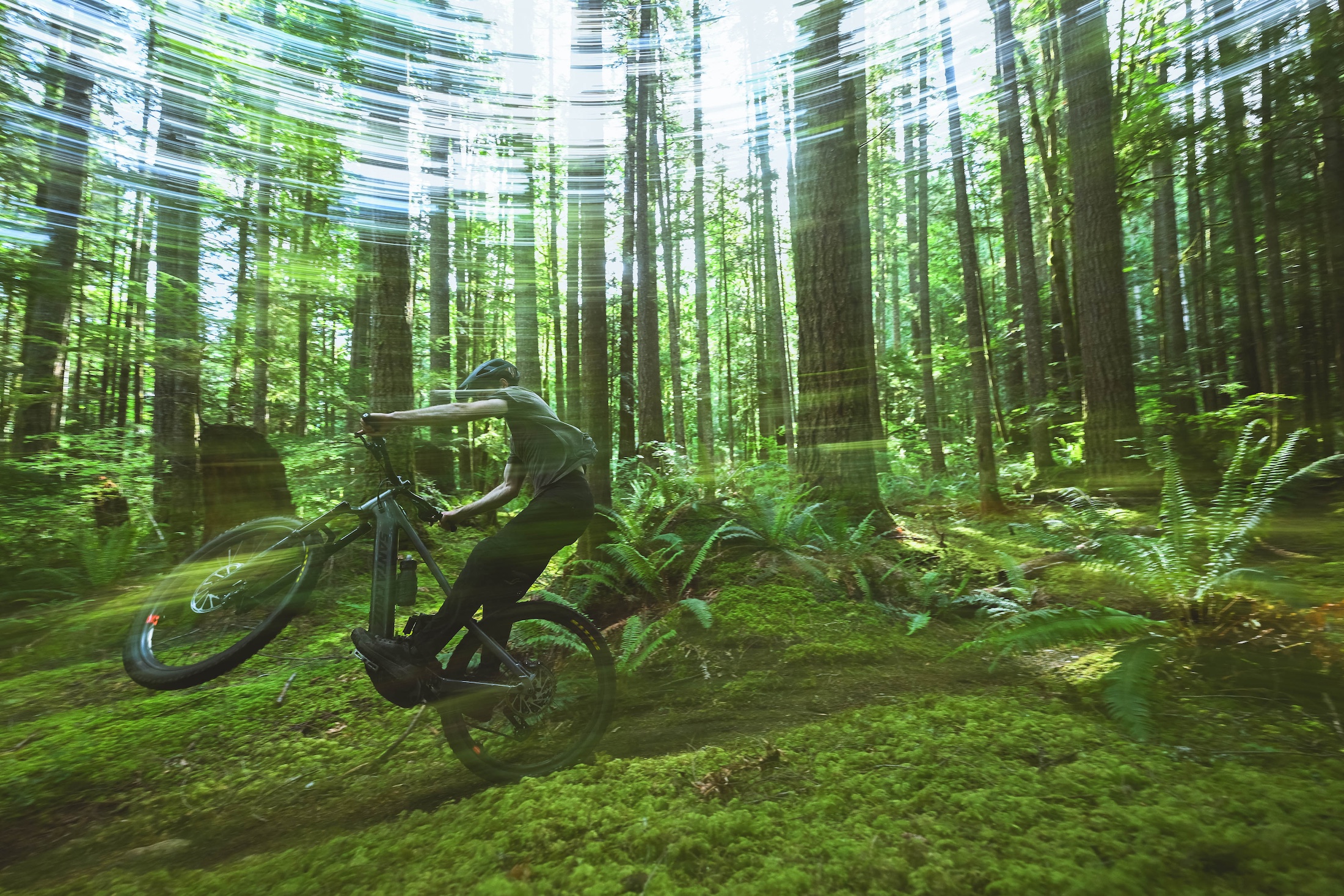 First Look | The Santa Cruz Vala AL drops the price in a big way