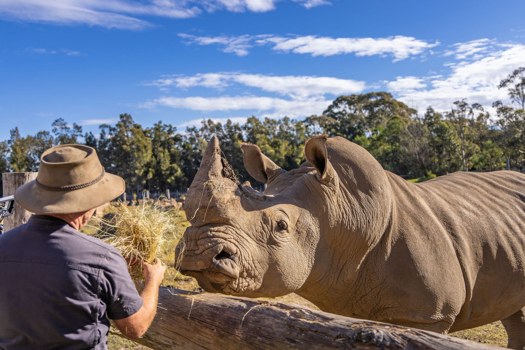 The Best Things To Do In Mogo | Flow's favourite things to see and do ...