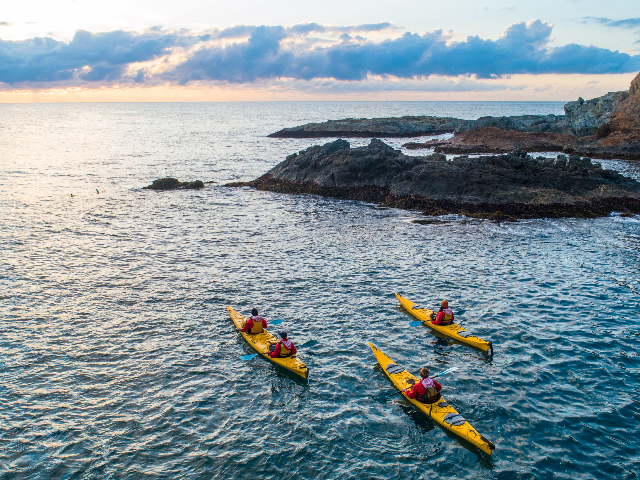 The Best Things To Do In Mogo | Flow's favourite things to see and do ...