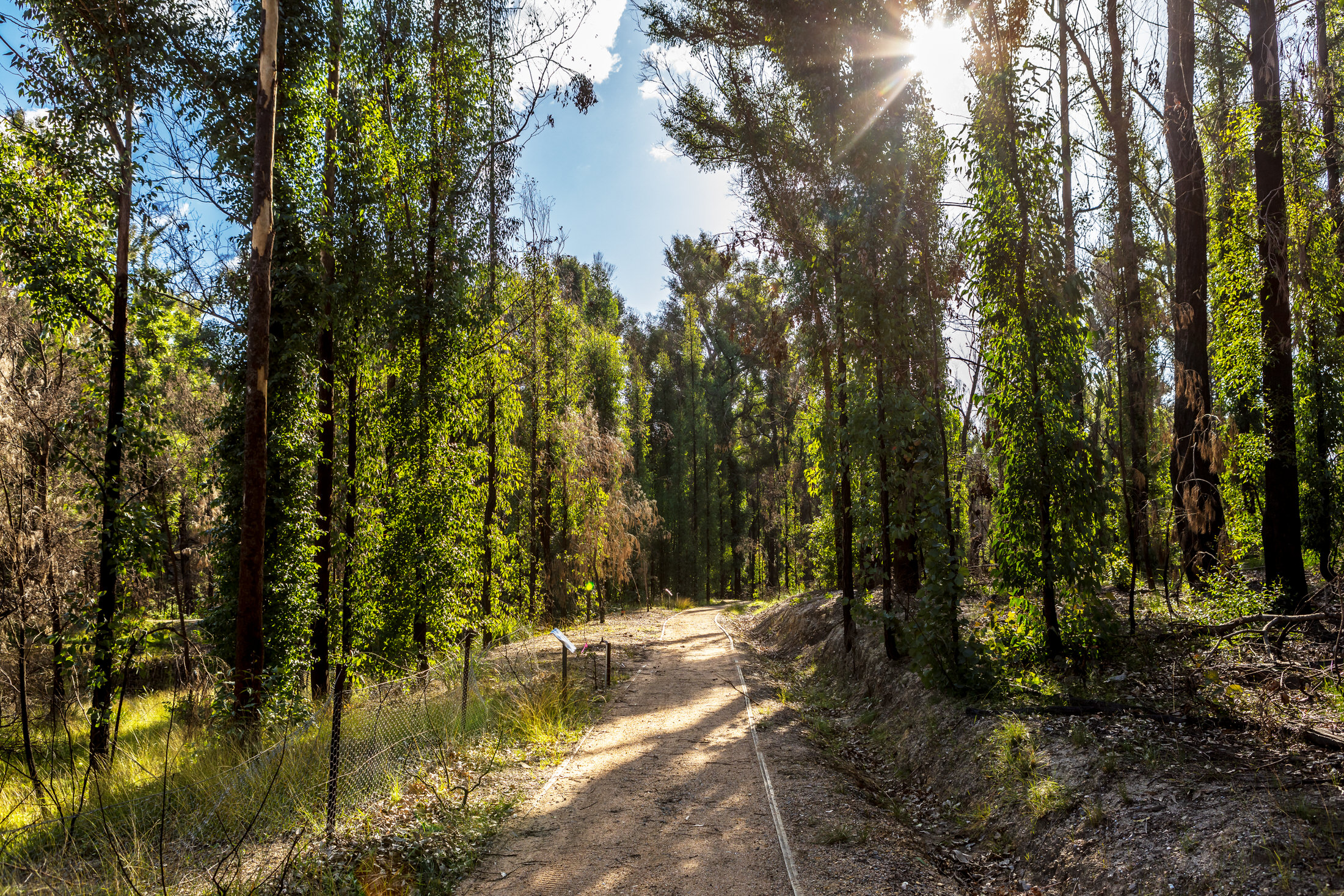 The Best Things To Do In Mogo | Flow's favourite things to see and do ...