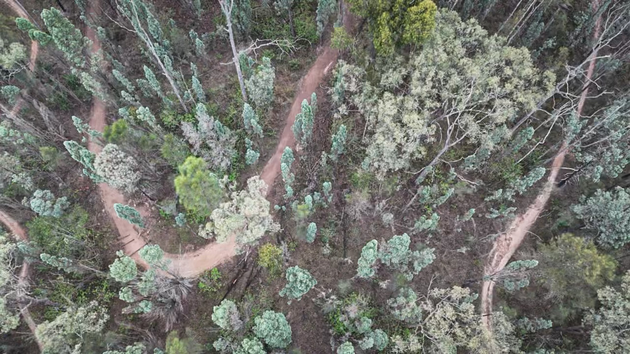 angry goat trails Archives - Flow Mountain Bike