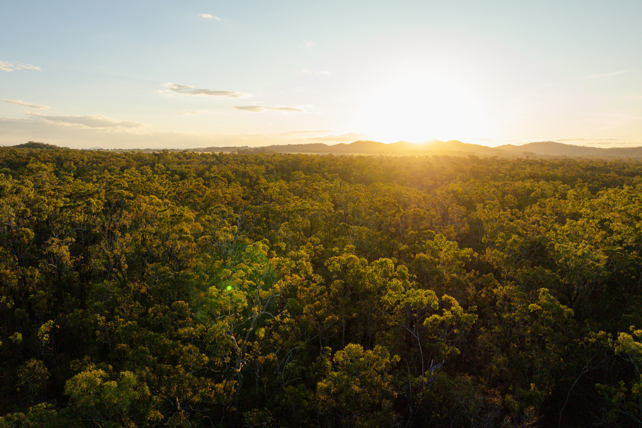 Your Ultimate Guide to Mountain Biking in Mareeba & Davies Creek