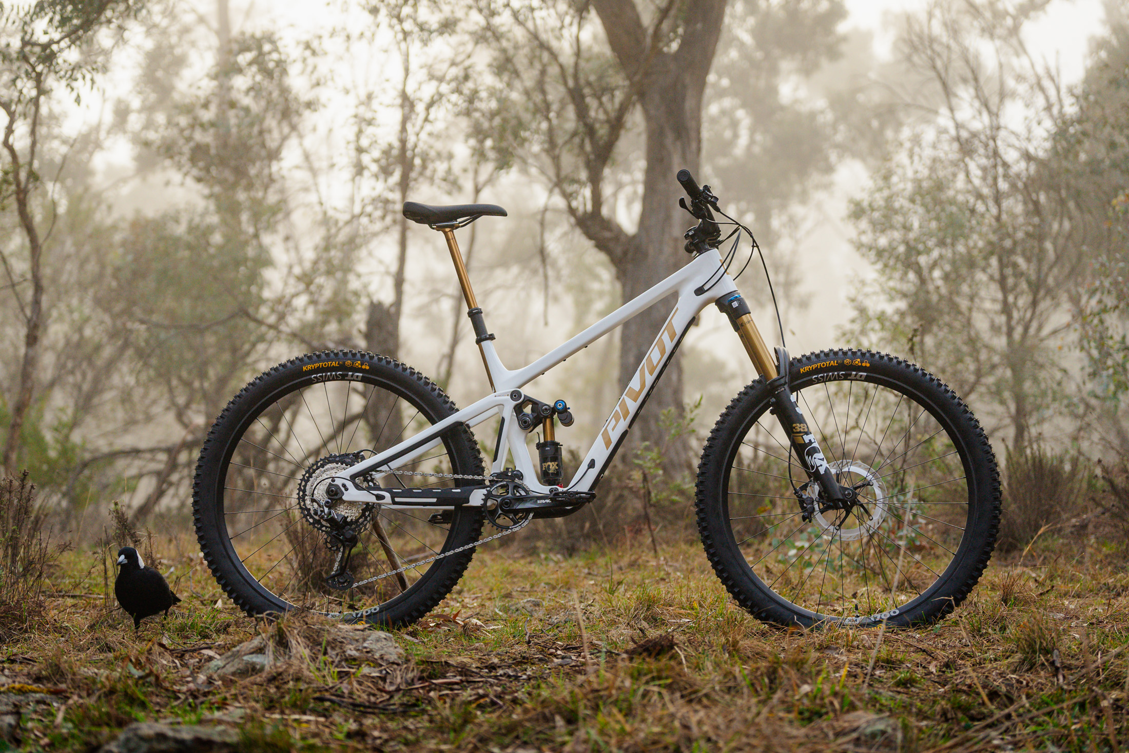 2024 Pivot Switchblade Review | Pivot's best trail bike yet?