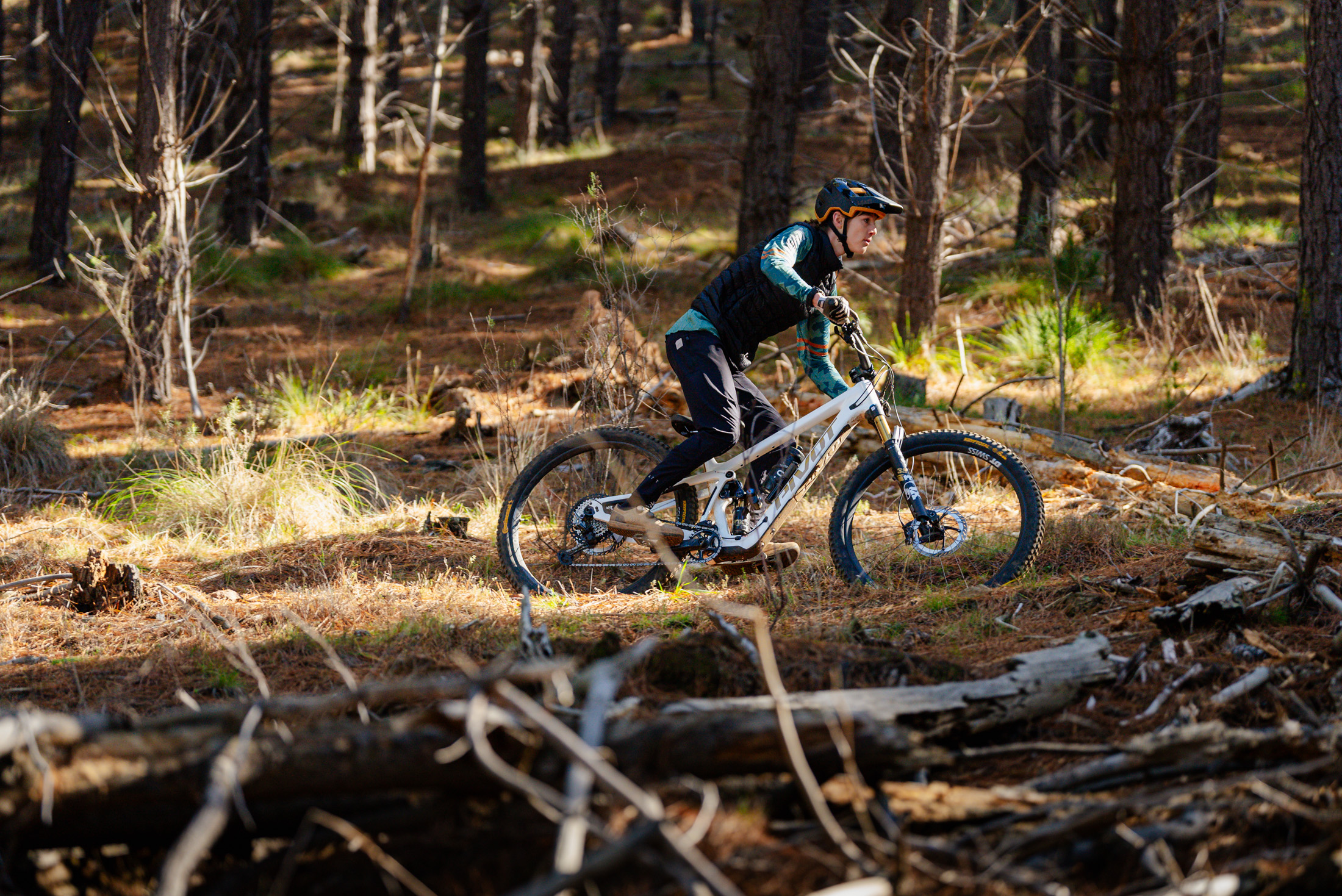 2025 Pivot Firebird Review