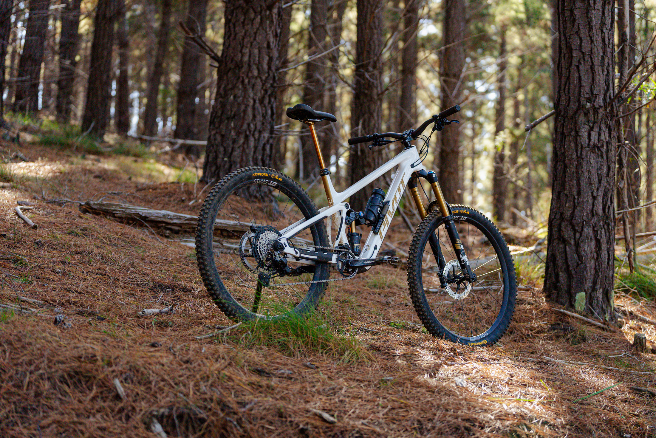 2025 Pivot Firebird Review