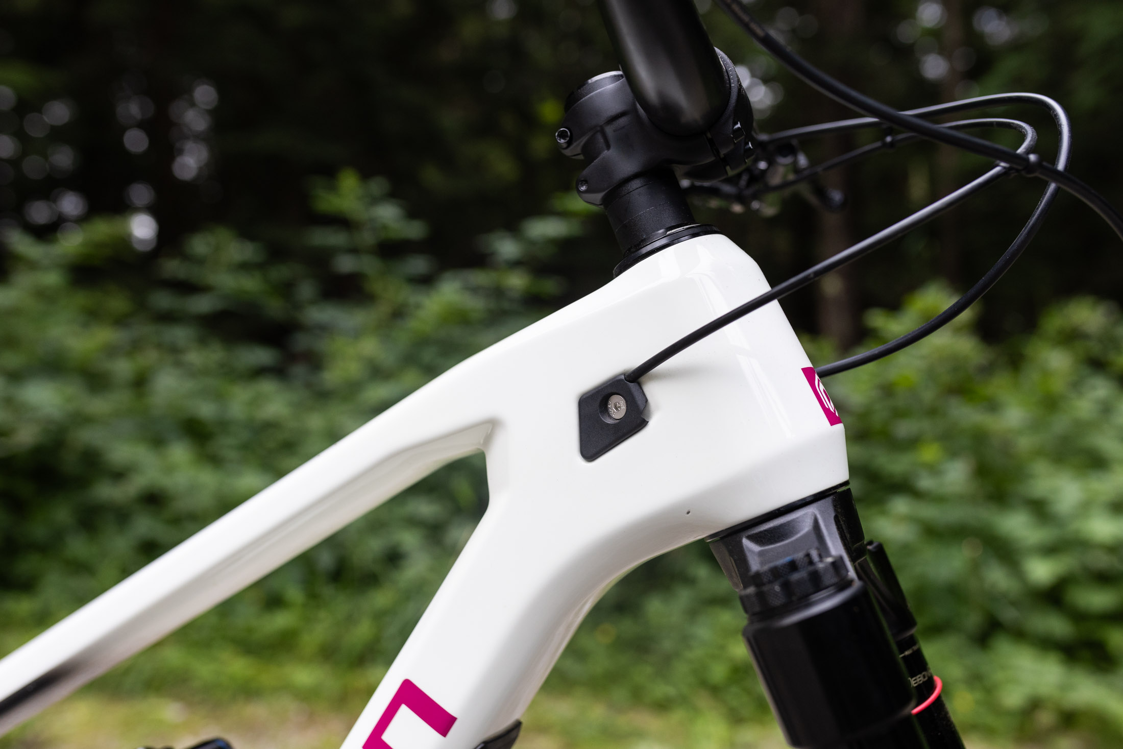 2026 Polygon Collosus N9 Carbon