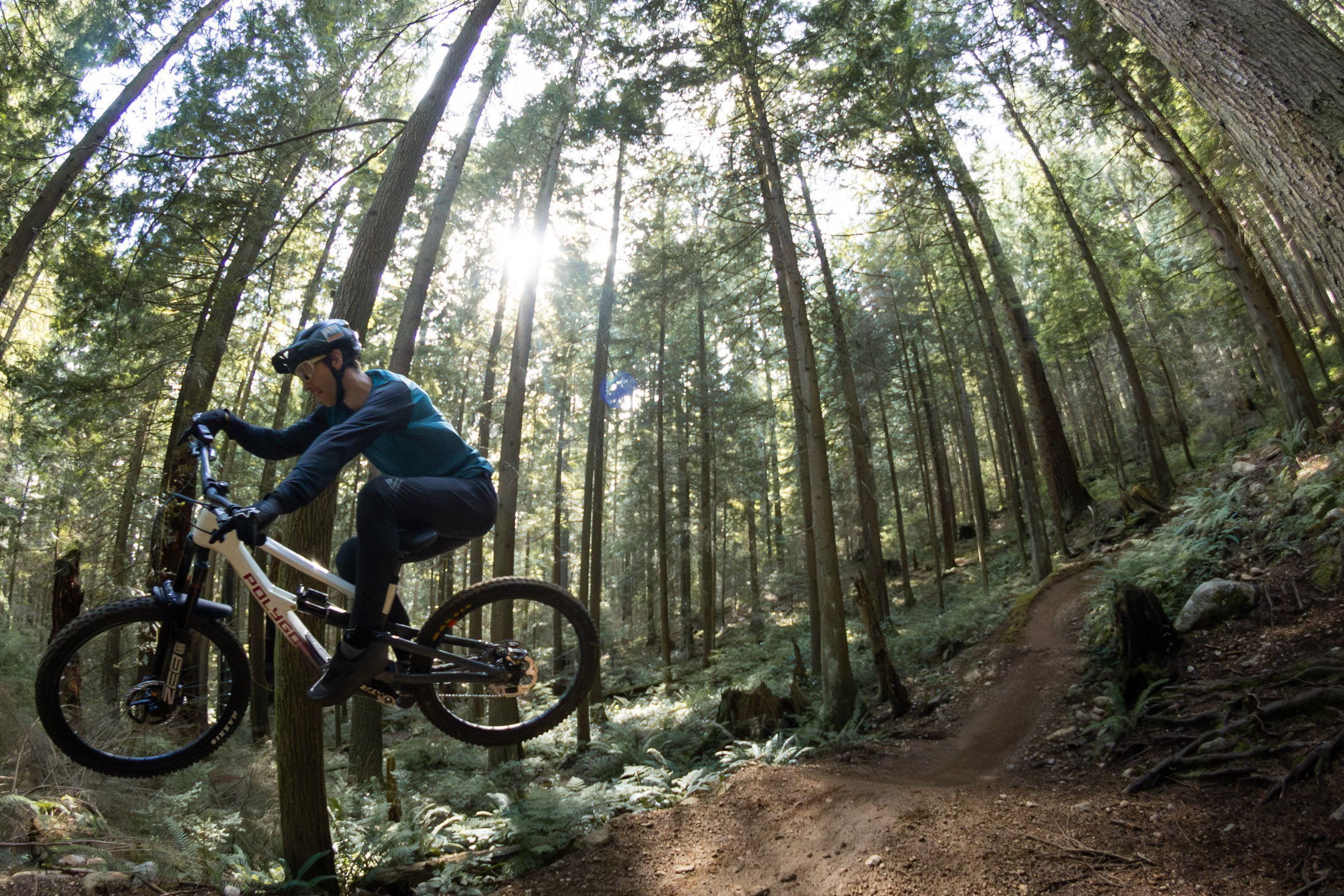 2026 Polygon Collosus N9 Carbon