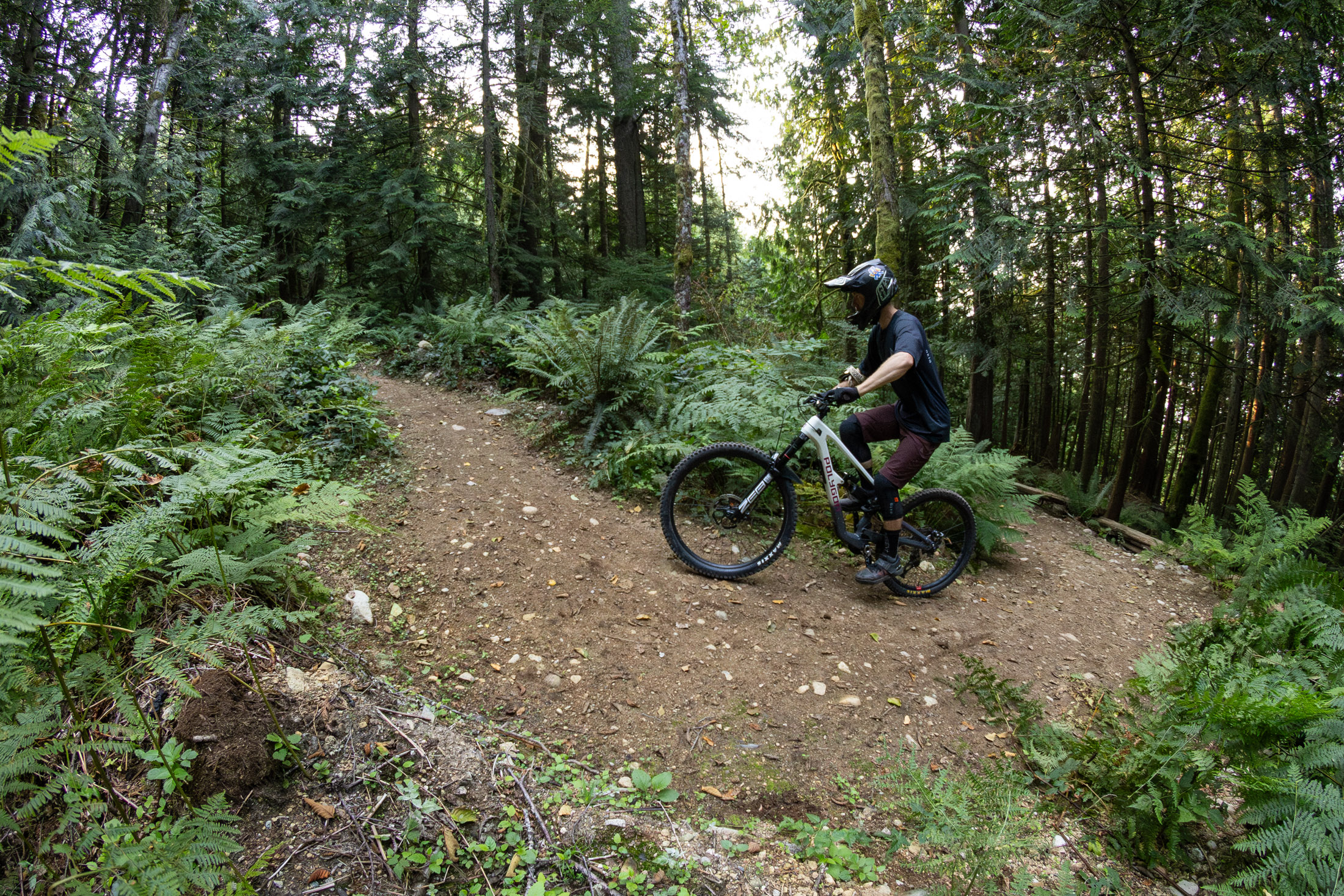 2026 Polygon Collosus N9 Carbon