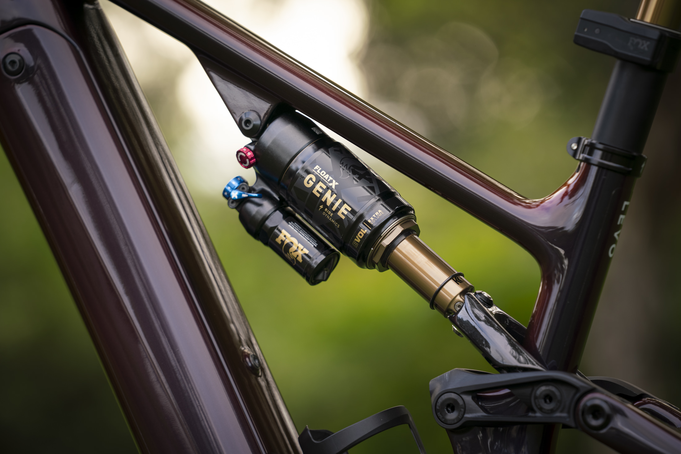 specialized levo 4 Archives - Flow Mountain Bike