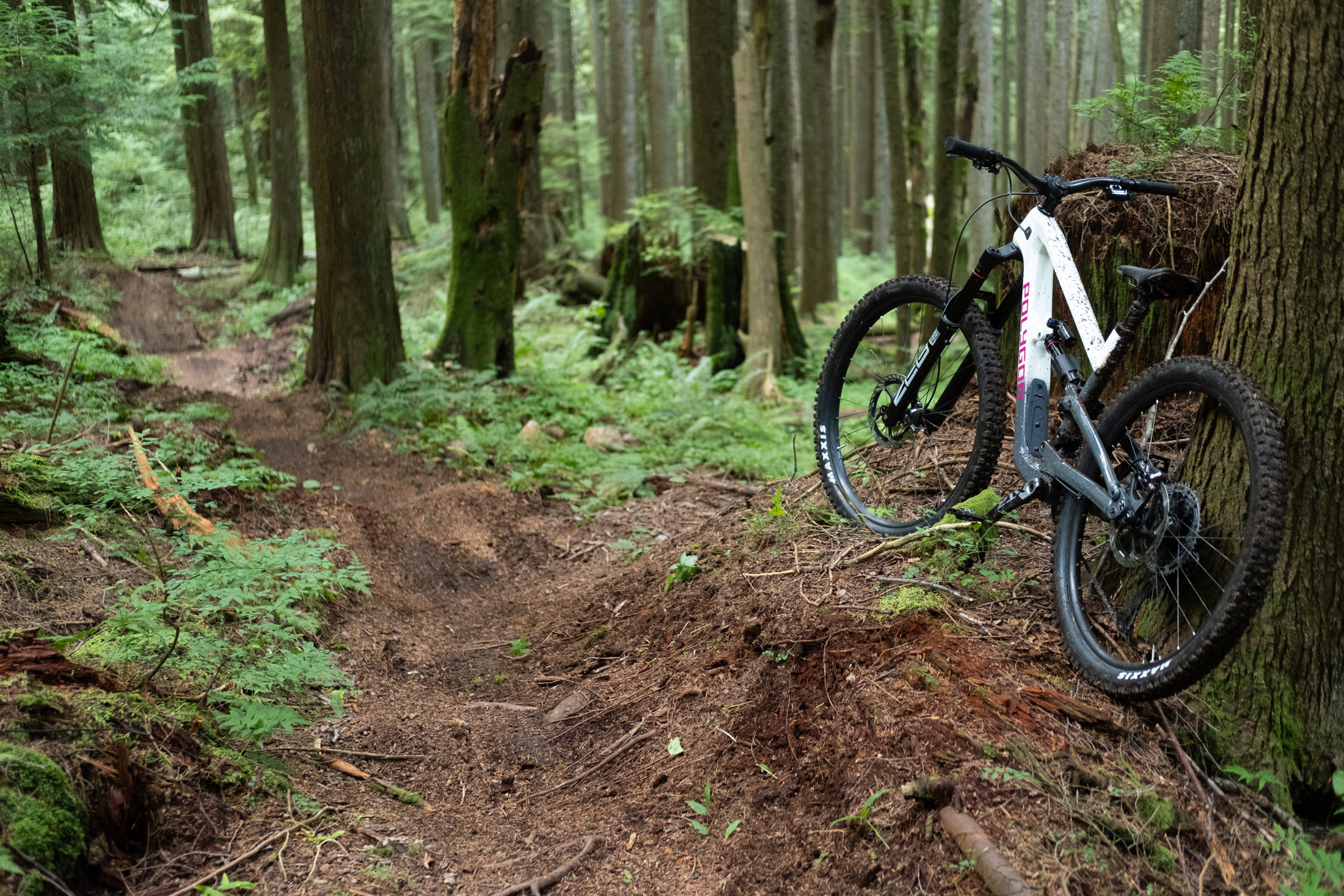 2026 Polygon Collosus N9 Carbon