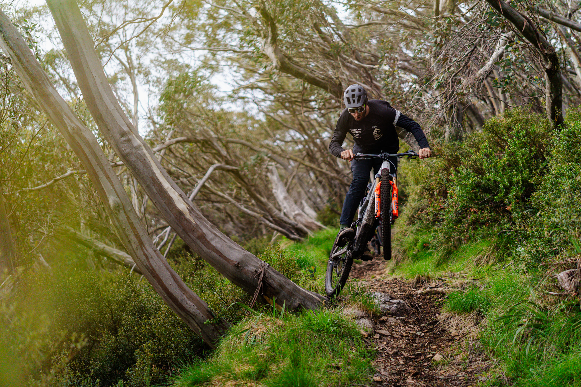 The most expensive mountain bikes of 2024