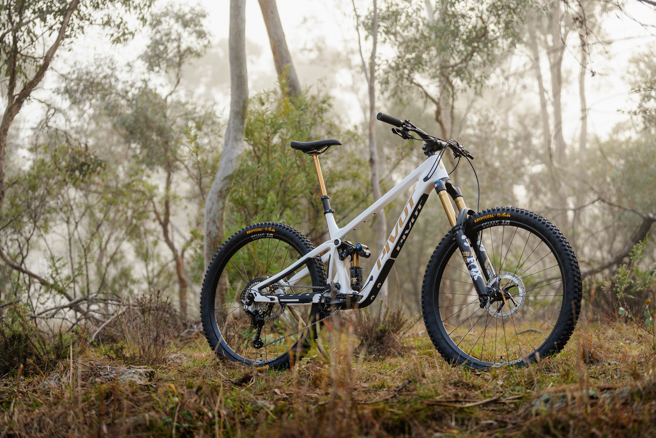 Win a Pivot Firebird | Your Dream Ride Starts Here!