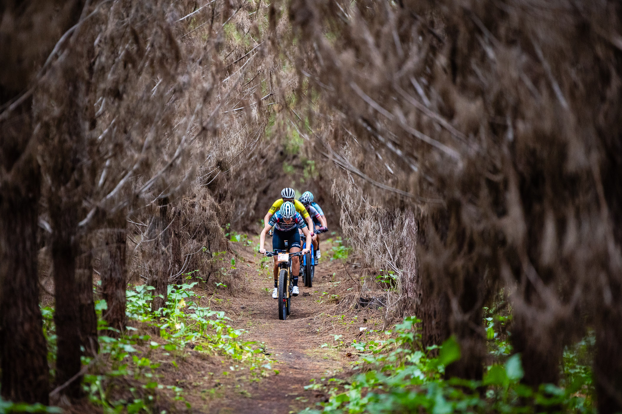 Cape to Cape 2025 | Locals dominate the racing in Margaret River, WA