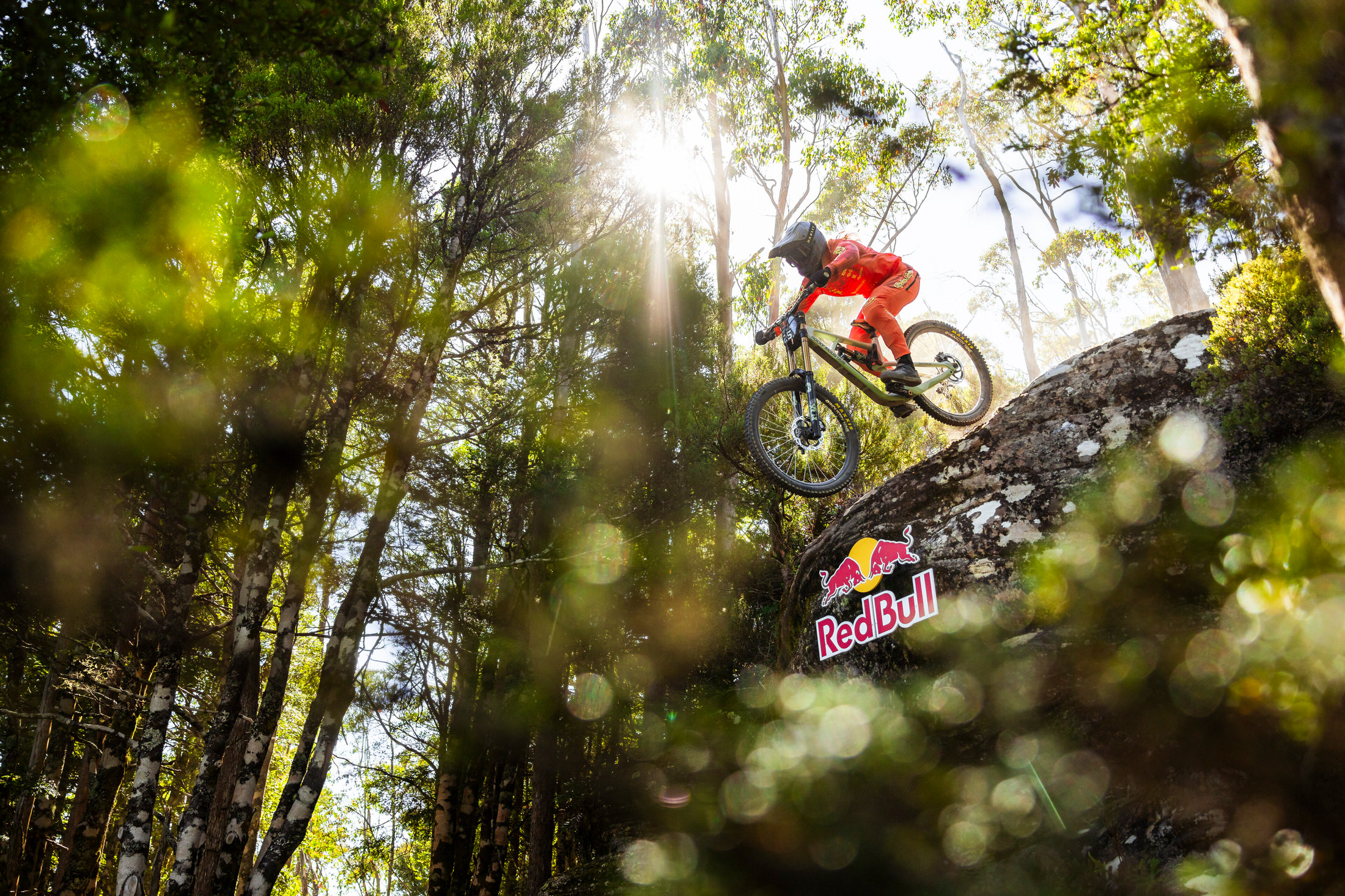 Maydena Bike Park, Tasmania - MTB Trail Guide | Flow Mountain Bike