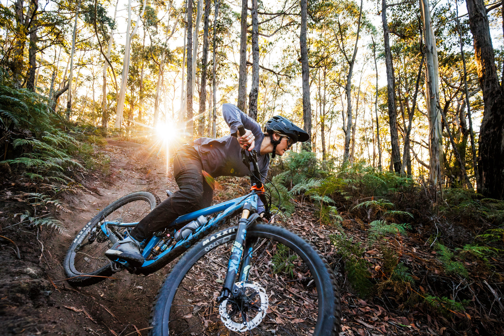 Apogee Sendology | How Your Knees Control Cornering Grip