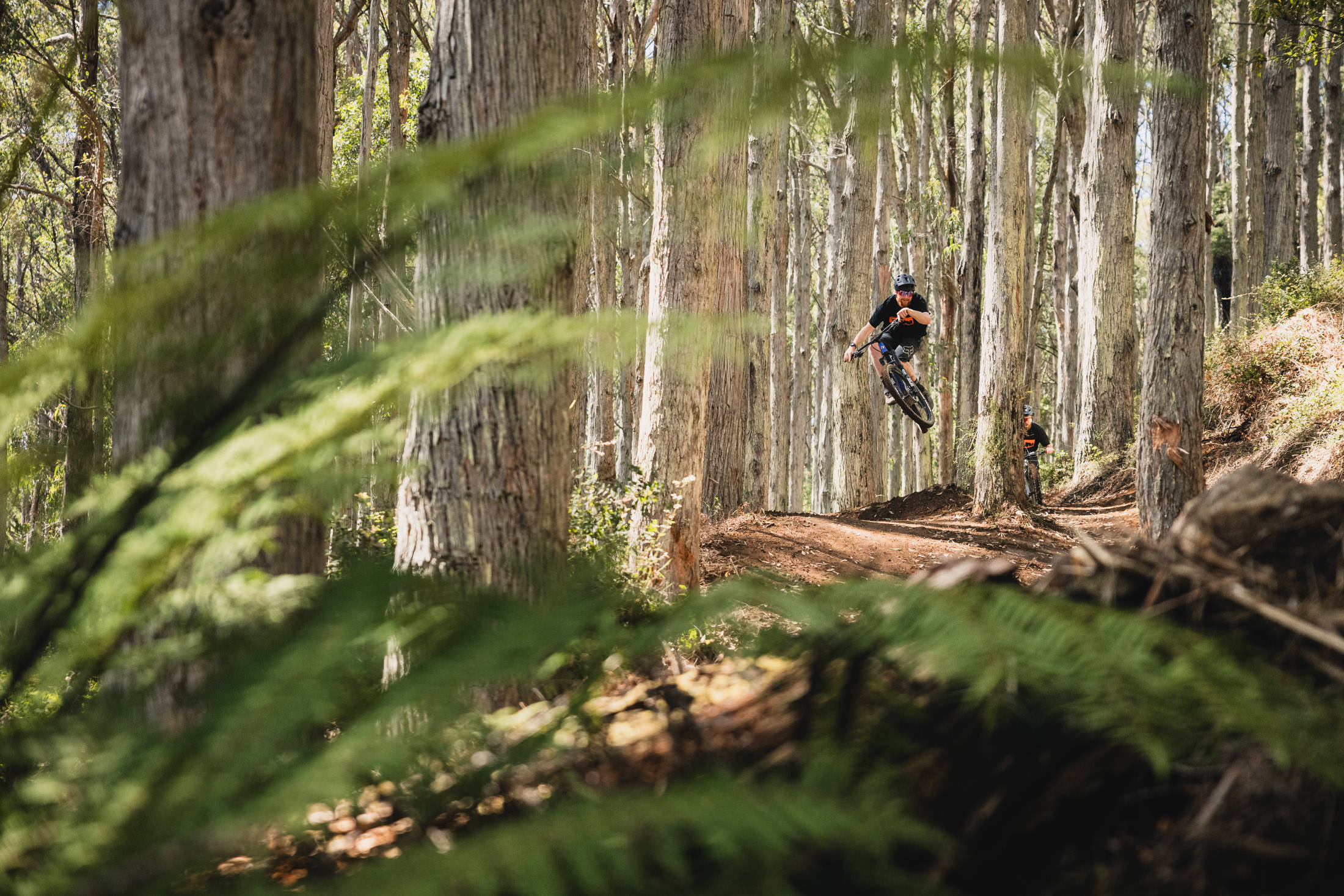 Warburton Bike Park Stage 1 | The First 30km Is Just the Beginning